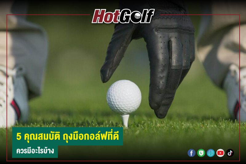 5 คุณสมบัติ ถุงมือกอล์ฟที่ดี ควรมีอะไรบ้าง - เว็บไซต์ HotGolfClub.com เว็บไซต์กีฬากอล์ฟอันดับ ...